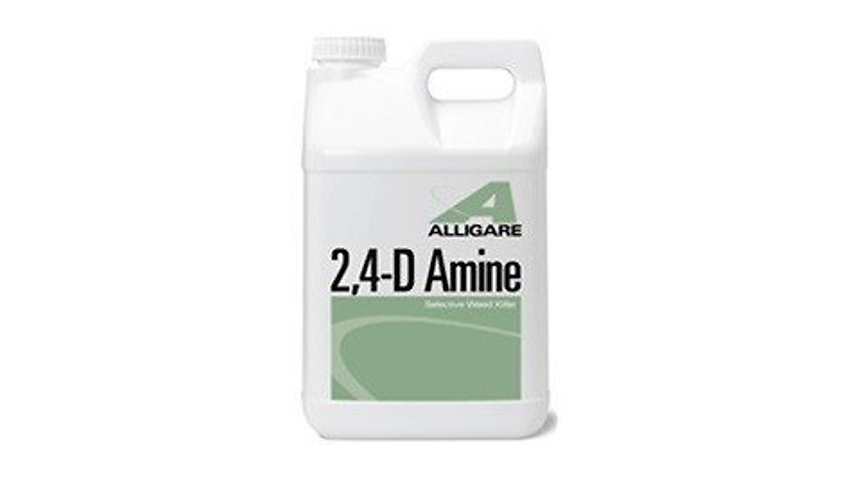 ALLIGARE 2,4 D Amine Herbicide | Effective Broadleaf Weed Killer