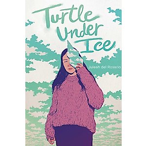 Turtle under Ice