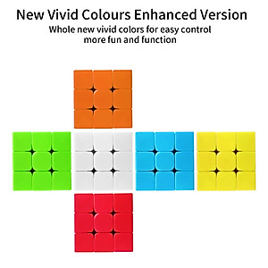 ROXENDA 3x3 Speed Cube, 3x3x3 QYTOYS Warrior S Speed Cube Stickerless Frosted Puzzle Magic Cube (Stickerless)