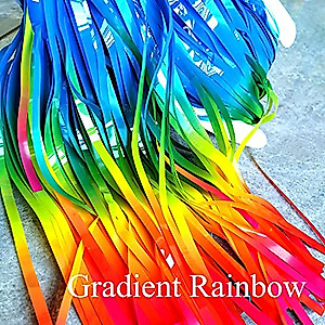 Rainbow Foil Fringe Curtain Backdrop Tinsel Photo Booth Props for Birthday Gay Pride Day Circus Bachelorette Wedding Engagement Bridal Shower Baby Shower Happy New Year Party Decorations - 2 Packs