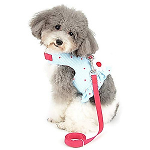 SMALLLEE_LUCKY_STORE Bow Flower Striped Print Cat Small Dog Harness Dress with Leash for Girls Adjustable No Pull Escape Proof Soft Walking Jacket Waterproof Puppies Kitten Harness Vest Outdoor,Blue S