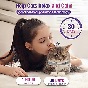 Calming Collar for Cats 4 Pack Cat Calming Collar Calming Collar Relieve Stress Lasts 30 Days Calming Collar Anxiety Calming Relax Cat Pheromone Collar Suitable for Small Medium and Large Cats Calming
