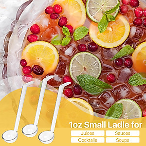 Aemygo 15 Pcs Clear Small Ladle 1 oz Gravy Ladle with Long Handle 7.9 Inch Acrylic Plastic Dressing Ladles for Serving Punch Bowl, Fruit Juices, Sauces and Toppings