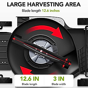 HKLGorg Electric Lawn Mower, 13-Inch 12 Amp Corded Push Mower with 3-Position Height Adjustment, 25L Collection Box, Corded Folding Handle, Electric Dethatcher for Yard, Lawn and Garden Care (Green)