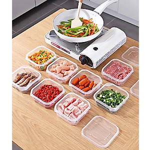 Iwinna Food Storage Containers with Lids, Plastic Fridge Organizer Clear Bins, 350ml Sealed Food Containers, Reusable Takeaway Kitchen Freezer Storage Boxes, 10pcs