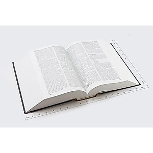 Gran diccionario enciclopédico de la Biblia (Spanish Edition)