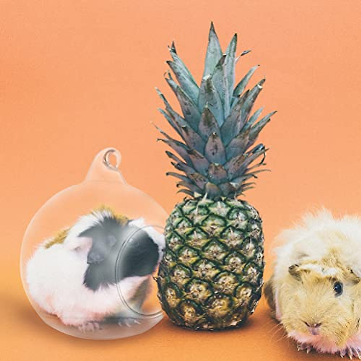 POPETPOP Hanging Flower Pot Glass Hamster House Terrarium Air Plants Containers Clear Small Animal Hideout Hydroponic Flower Vase Guinea Pig Summer Cooling Hut Cage 2Pcs Wedding Decorations