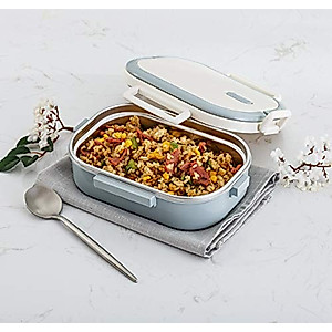 Lille Home Stainless Steel Leakproof Bento Lunch Box/Metal Food Container with Insulated Lunch Bag, BPA Free, 22 Ounces, Gray