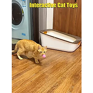 HEUHAI Cat Balls, 40 Pack 1.25 Inches 10 Colors, Soft and Non-Fading Cat Toy Balls, Cats, Ferrets, for Small and Medium Breed Sizes