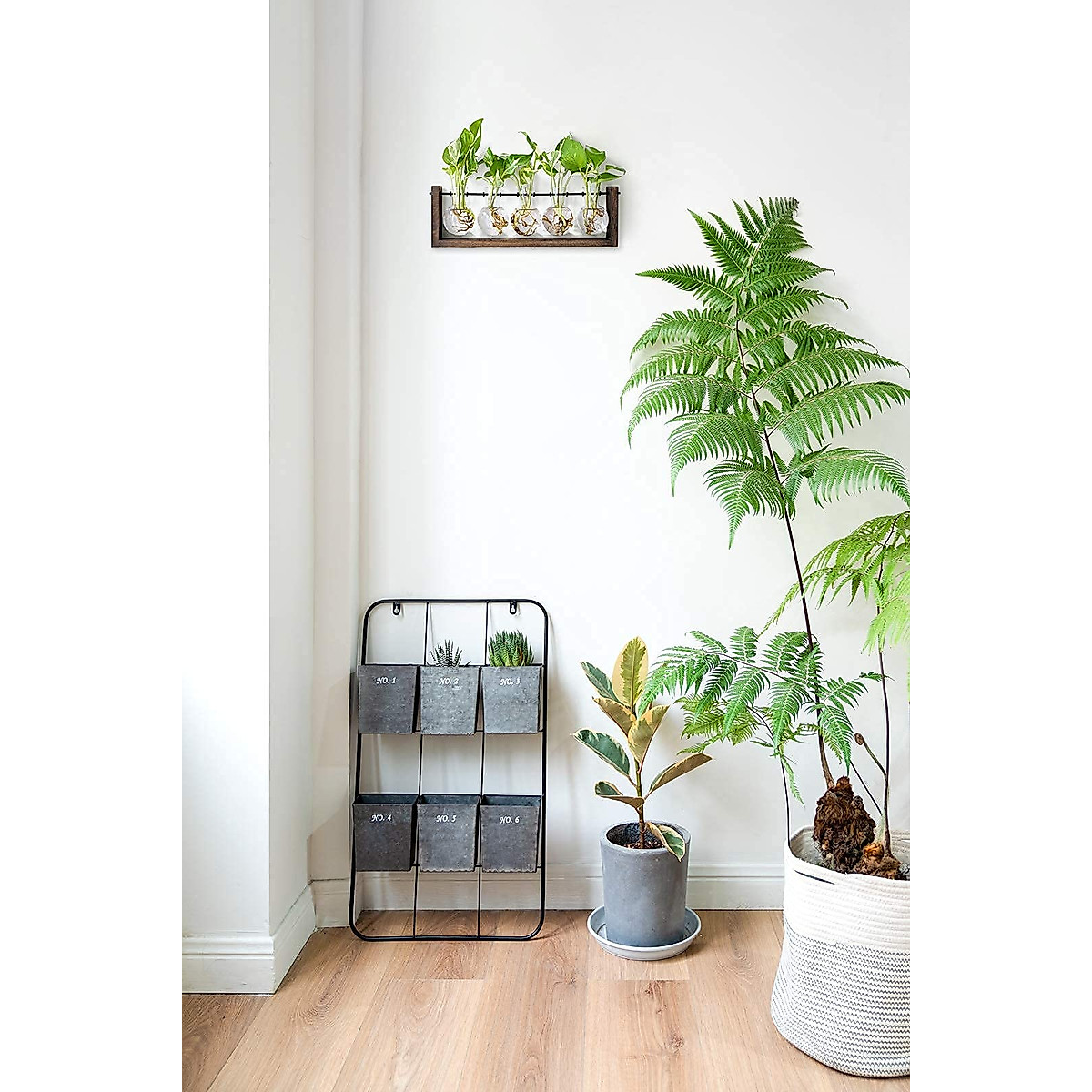 Mkono Plant Terrarium with Wooden Stand, Wall Hanging Glass Planter Desktop Glass Bulb Vase Retro Wooden Holder for Propagating Hydroponics Plants Pothos Home Office Garden Decor