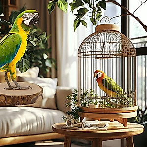 CZWESTC 8 Pieces Natural Wood Bird Perch Wooden Parrot Perch Stand Fork Toys Hanging Multi-Branch Perch Platform Hammock Swing Toy for Macaws, Small Parakeets, Conures, Budgies, Finches
