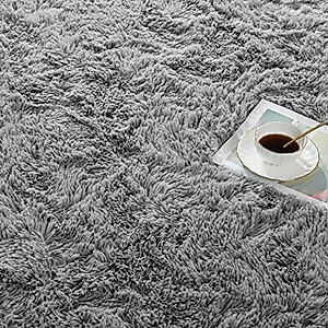 Terrug Super Soft Oval Rugs for Kid's Room, Cute Fluffy Plush Rugs 2.6x5.3 Feet for Girls Bedroom Dorm, Non-Slip Modern Shaggy Carpet for Living Room, Home Decor White for Bedroom Grey