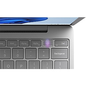 Microsoft LptpGo2 i5/16/256 Platinum