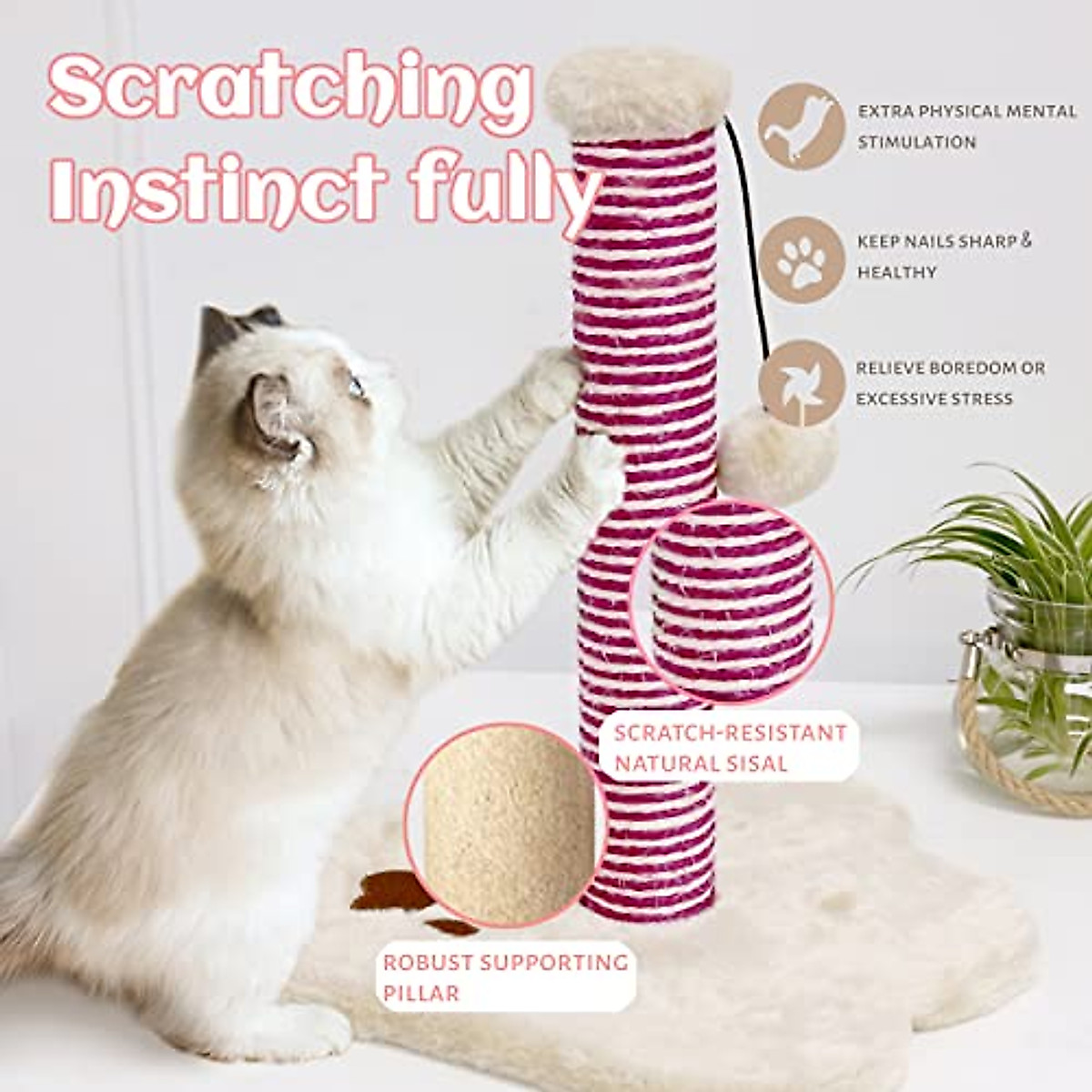 ABclown Cat Scratching Post Cat Tree Small Cat Tower with Natural Sisal Pole and Carpet Covered Heavy Base, Cat Claw Scratcher for Indoor Small Cats, Kitten Climbing Pole for Play Rest