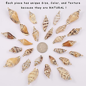 Aobei Pearl Natural Conch Necklace for Women Bohemian Seashell Pendant Necklace 18K Gold Chain Choker Adjustable Hawaii Beach Layering Jewelry 20”