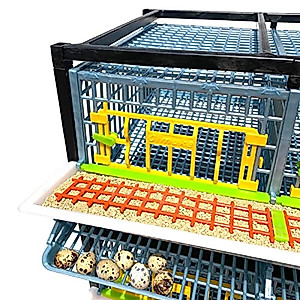 Quail Cage - 5 Layer (Power-Washable, Durable, ABS Plastic) | Hatching Time