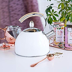 Pinky Up Presley Tea Kettle, Stovetop Stainless Steel Kettle, Whistling, Tea Accessory gifts, Fast Boil Water Kettle, Wooden Handle, 70 oz, Pistachio