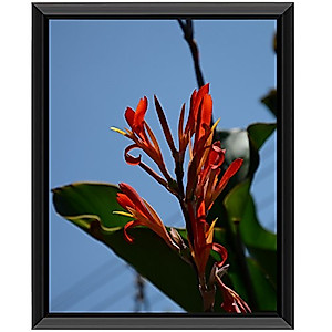 Uzifa 11x14 Picture Frame Photo Poster Frame Picture Frames 11x14- Safety high transparent PC sheet NON GLASS without Mat for Display Certificate as Wall Mount Frame V21114G – BLACK