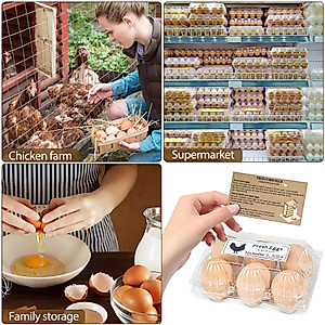baflovga Egg Cartons Cheap Bulk 100 Pack, Eggs 6 Count, Plastic Egg Cartons Reusable with Egg Handling Instructions and Stickers, Half Dozen Eggs for Family, Chicken Farm, Market Display, 2x3Grids