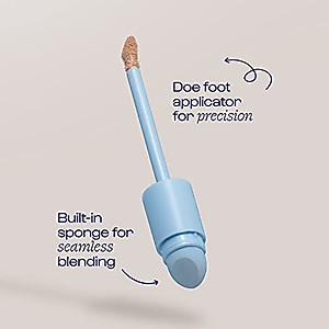 Alleyoop Game Face Concealer Makeup, Lightweight to Medium Buildable Coverage Under Eye Concealer, For Blemishes, Crease-proof and Hydrating with Aloe Stem Cell, Smooth Second Skin Finish - Brilliant
