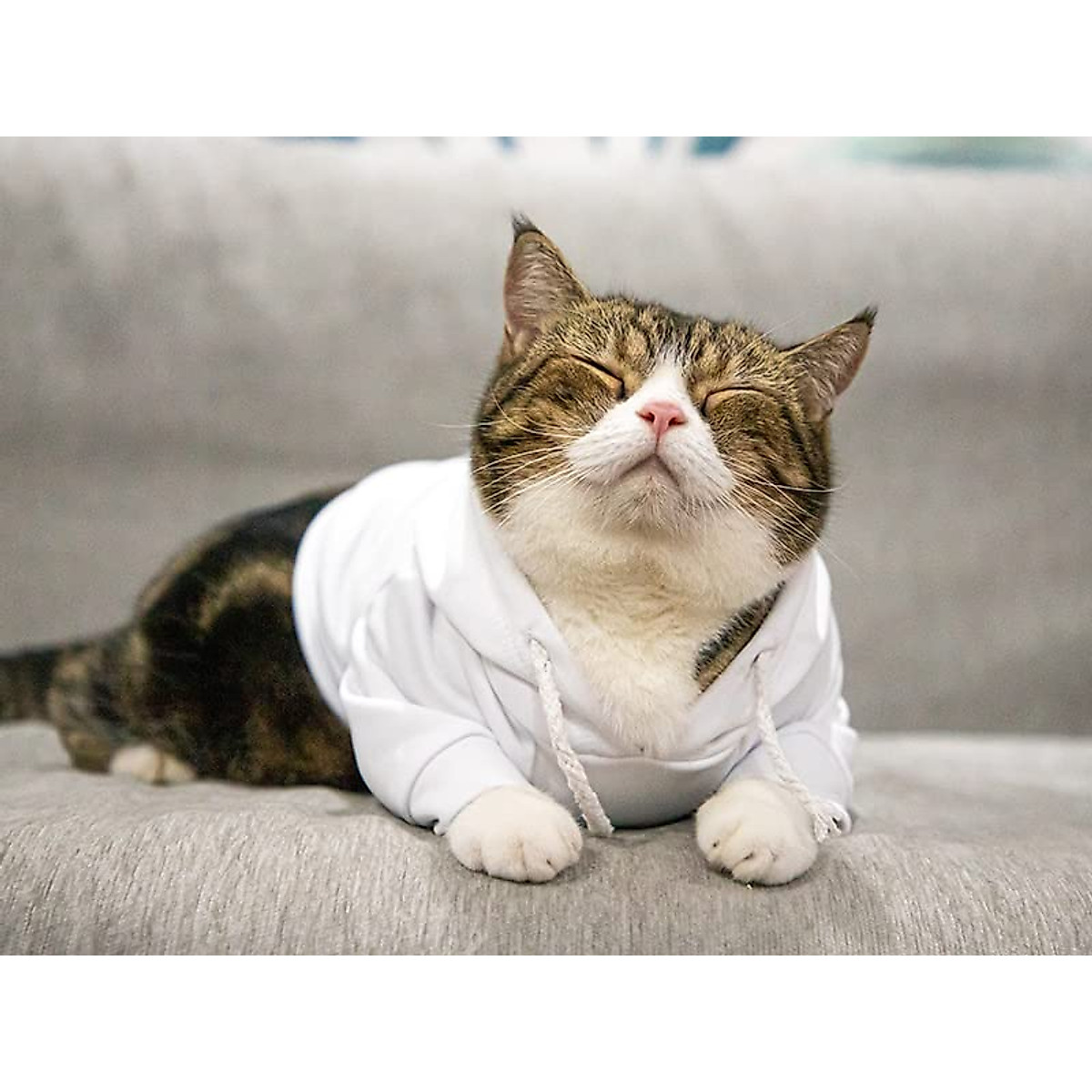 Craft Express Sublimation Blank White Pet Hoodie - Medium, Large, and Extra Large Size Hoodies for Pets Ready to be Personalized - Set of 2 (XX-Large)