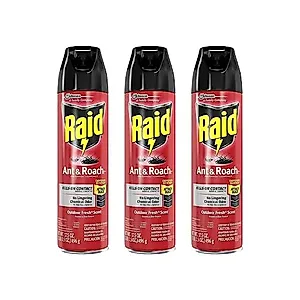 Raid Ant and Roach Killer 17.5 Ounce (Pack of 3)