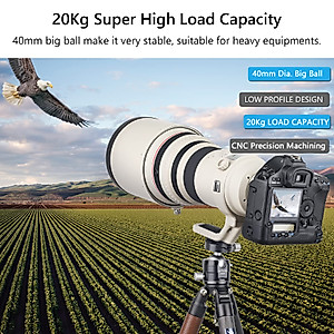 Low Profile Camera Tripod Head with 2 Arca Quick Release Plates 40mm Aluminium 360 Rotating Panoramic Ball Head Load 44lbs/20kg
