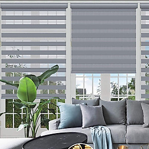 Changshade Cordless Zebra Roller Shade with Valance, Double Layered Window Blind for Day and Night, Light Filtering Window Treatment with Mesh and Opaque Fabric, 24 inches Wide, Gray RBS24GY72A