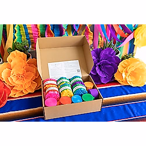 Riles & Bash Fiesta Streamer Backdrop with Crepe Paper Flowers and Ruffled Streamers (Fiesta)