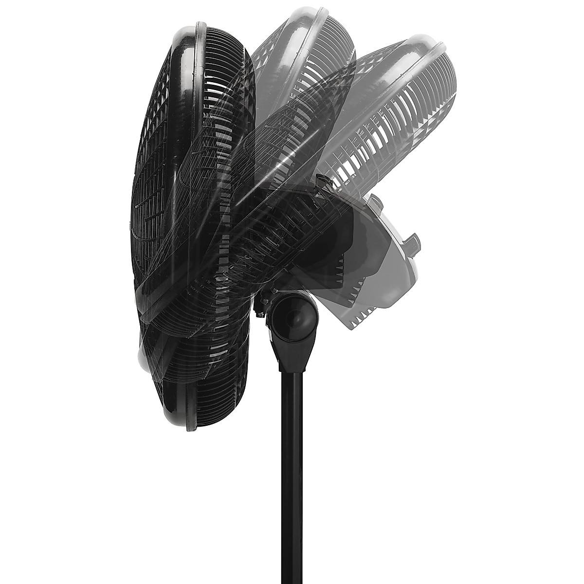 Lasko Lasko-16 Adjustable Performance Pedestal, 3-Speed, Black (2527) Household Fans