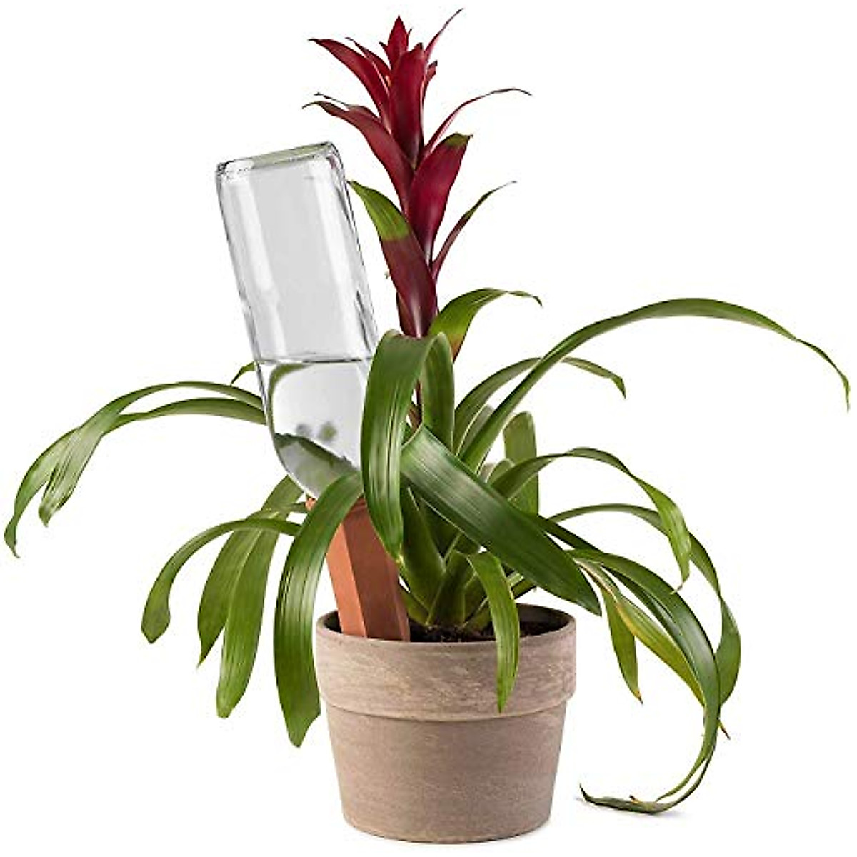 Modern Innovations Ceramic Terracotta Self Watering Spikes (4 Pack) Vacation Automatic Plant Waterer Devices, Indoor/Outdoor Planter Insert, Terra-Cotta Stakes for Potted Plants, Auto-Water System