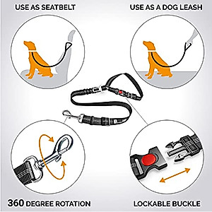 Comfortable Dog Seat Belt Harness for Car - 2-in-1 Leash and Restraint Secures to Headrest. Adjustable Bungee, Strong, Durable, 360 Degree Swivel Attach Won't Twist, Reflective, Easy to Use (Black)
