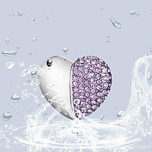 GARRULAX USB Flash Drive, 8GB / 16GB / 32GB / 64GB USB2.0 USB Memory Stick Date Storage Pendrive Thumb Drives(64GB,Purple)