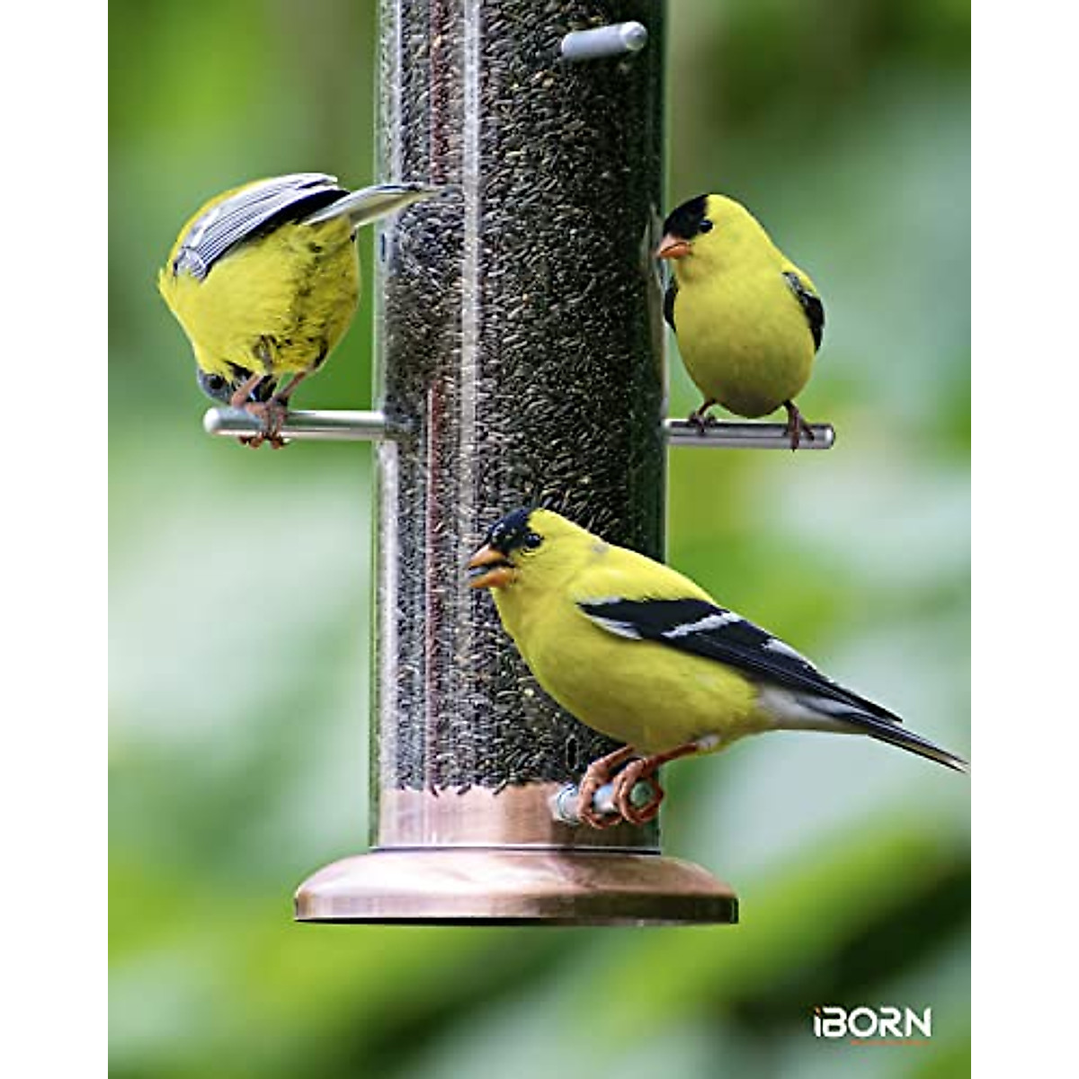 iBorn Metal Bird Feeder Thistle Bird Feeder,Finch Feeders for Thistle Seed,Tube Feeder Hanging Hook 14 Inch Brushed Copper