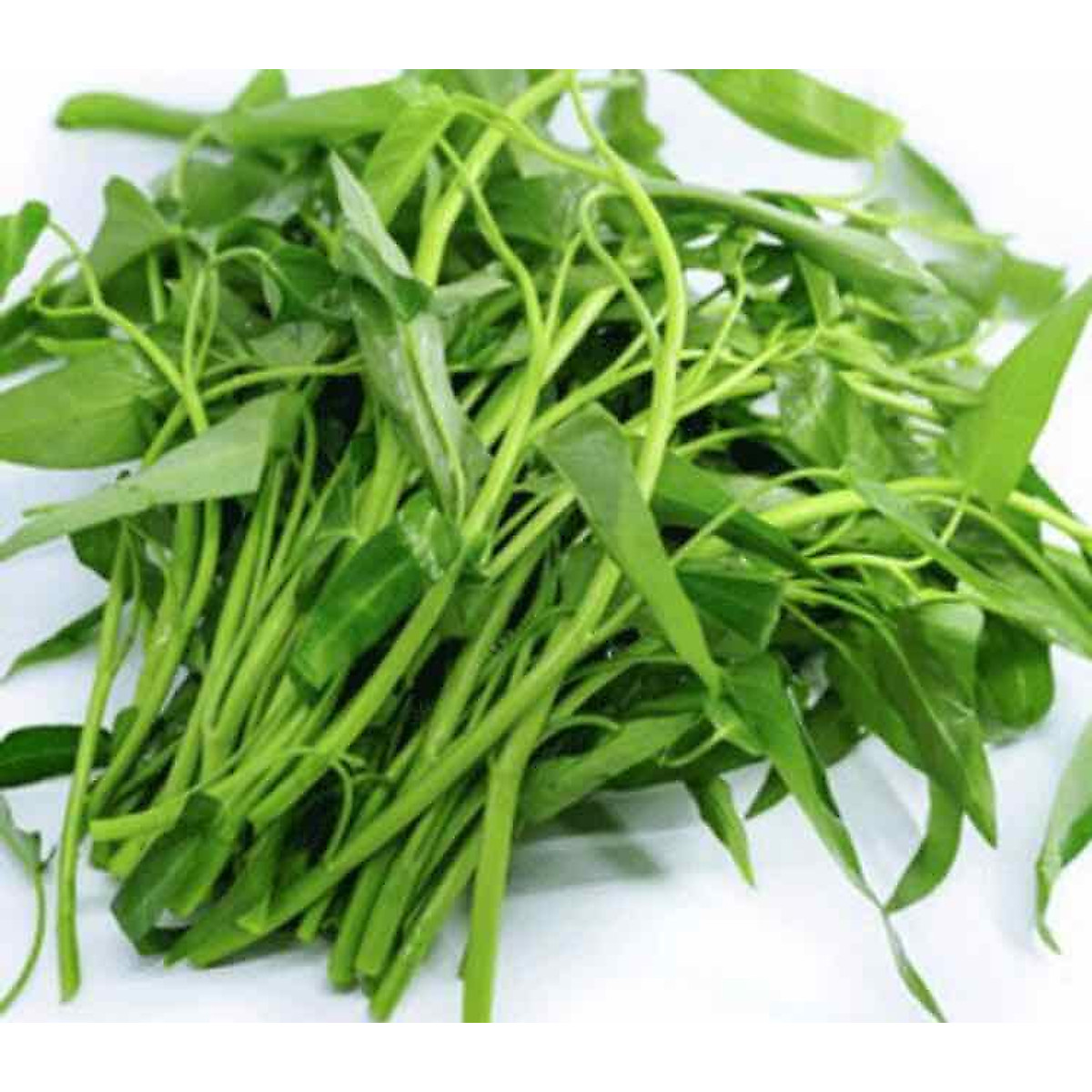 2000+ Seeds Kangkong Seeds - Rau Muong, Ong Choy, Brown - Chinese Spinach - Cong Xin CAI Seeds, kangkung Seeds for Planting
