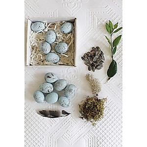 Creative Co-Op Boxed Set of 12 Blue Speckled Ceramic Robin Eggs