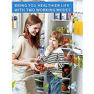 Zerosky Ozone Refrigerator Deodorizer, 20mg/H O3 Air Purifier Deodorizer, Natural Car, Shoe Deodorizer, Odor Eliminators For Home, Closet, Pet Home, Washing Machine, white