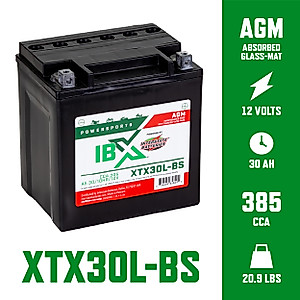 Interstate Batteries YTX30L-BS 12V 30Ah Powersports Battery 385CCA AGM Rechargeable Replacement Battery for Motorcycles, ATVs, UTVs, Snowmobiles (XTX30L-BS)