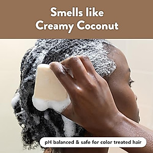 Ethique Frizz Wrangler - Smoothing Solid Shampoo Bar for Dry & Damaged Hair - Vegan, Eco-Friendly, Plastic-Free, Cruelty-Free, 3.88 oz(Pack of 1)