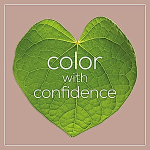 NATURTINT 4G Golden Chestnut Hair Color, 5.75 FZ