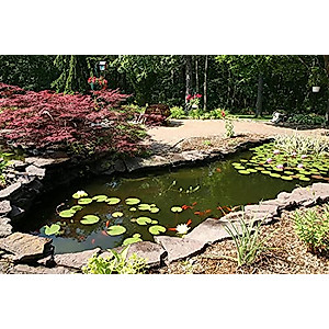YOUSTOO Pond Liner - 10 by 13-Feet Fish Pond Liners for Outdoor Ponds, Lightweight Highly Flexible Pond Skins for Fish Ponds, Water Features, Garden Water Fountains, Waterfalls