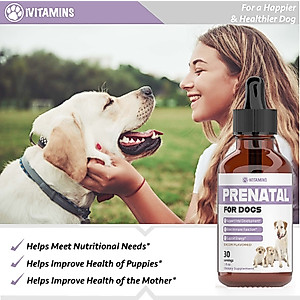 Dog Prenatal Vitamins | Prenatal Vitamins for Dogs | Includes Vitamin B Complex & Vitamin C | Dog Essentials | Whelping Supplies | Prenatal Dog Vitamins | Prenatal for Dogs | 1 Pack: 30 Servings
