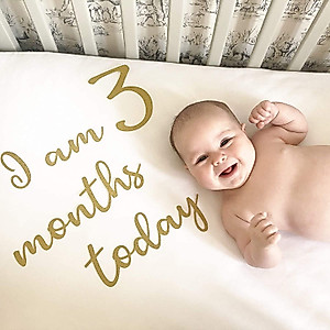 Baby Milestone Gold Photo Prop Lettering - Perfect New Born Baby Shower Photoshoot