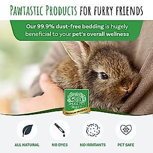 Small Pet Select Premium Small Animal Bedding, Natural Soft Paper Bedding for Small Indoor and Outdoor Pets, Made in USA, Jumbo Size 178 L Pack