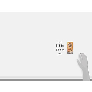 Arcane Wonders Onitama Sensei's Path, for 168 months to 1188 months, Multi-Colored