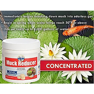 KoiWorx Muck Reducer, 145 Tablets Treats up to 6,000 Gallons of Water, Beneficial Bacteria Reduces Muck, Sludge and Organic Build up, Formulated for Ponds, Water Features and Safe for Koi