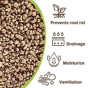 400g Akadama Soil Bonsai Soil - Sukh Akadama Bonsai Potting Soil Pon Substrate for Outdoor Indoor Plants Conifer Bonsai Tree Soil Outlet Top Dressing Lithops Ficus…
