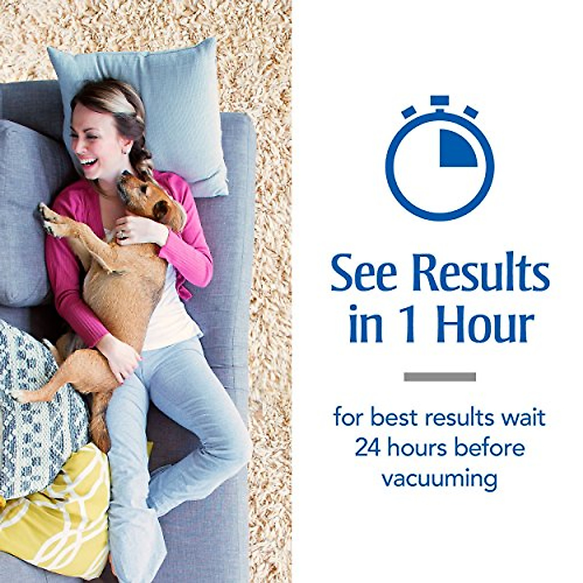 PETARMOR Home Carpet Powder for Fleas and Ticks, Protect Your Home From Fleas and Deodorizes Carpets, 16 Ounce