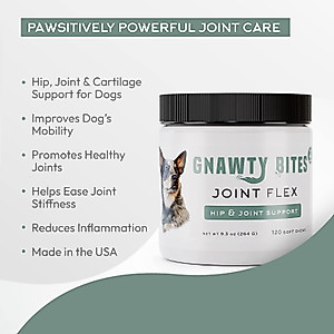 Gnawty Bites Joint Flex | Dog Hip & Joint Support Supplement for Mobility & Advanced Joint Health with Glucosamine Chondroitin MSM, Turmeric, Dog Joint Supplement,120 Soft Chews