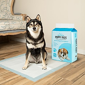 Best Pet Supplies Puppy Pads - Disposable, Dog Training Potty, Super Absorbent Baby Blue Puppy Pee Pads for Dogs (100 Count)